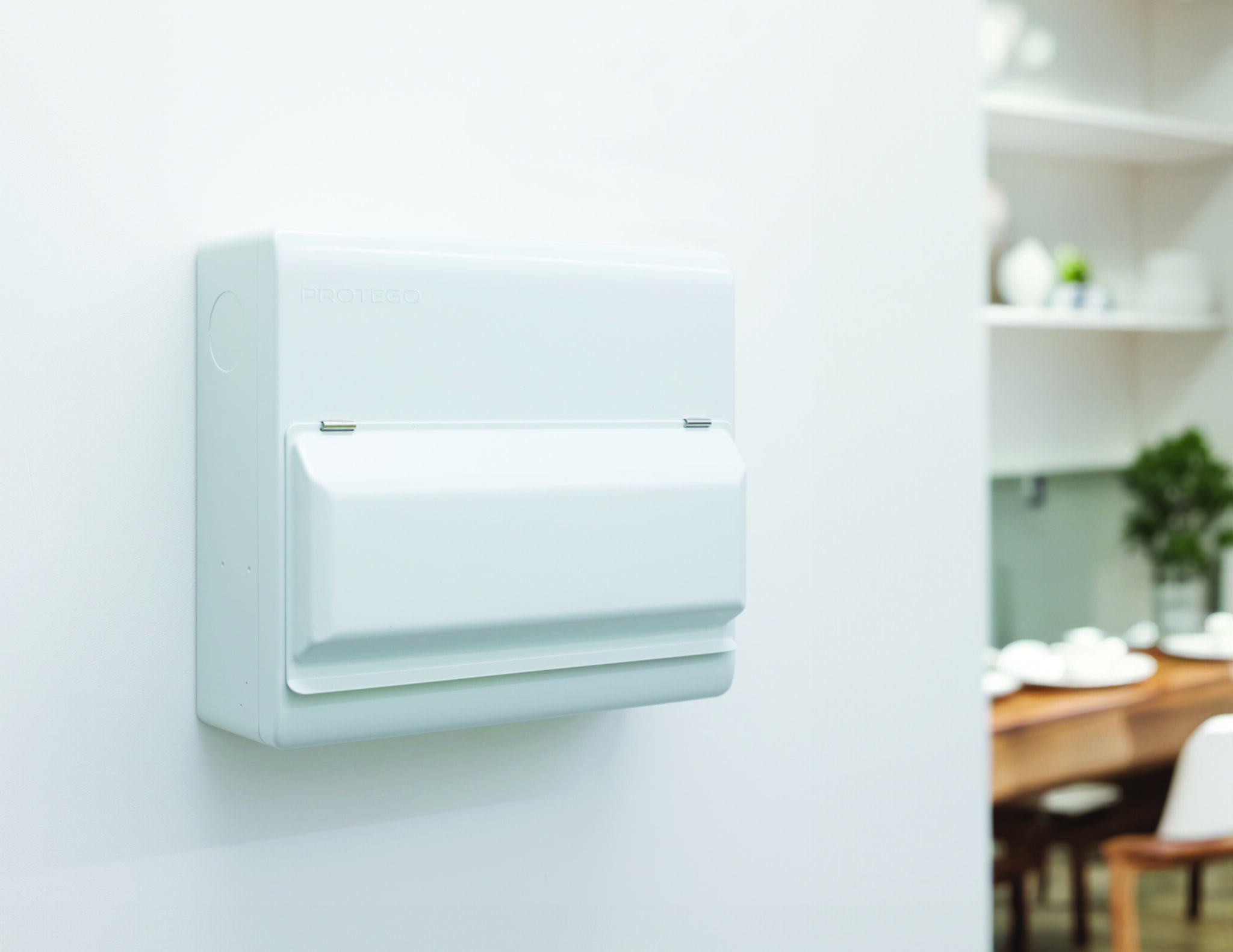 INTRODUCING PROTEGO - Niglon Ltd